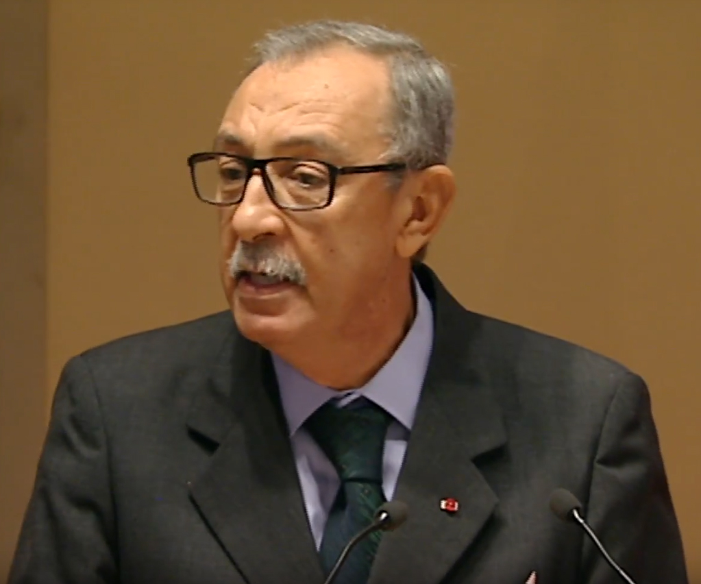 Najib BA MOHAMED , Le réformisme constitutionnel marocain – alacademia